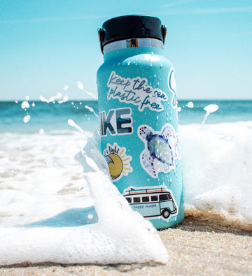 Sea Turtle with Flowers Clear Vinyl Sticker – Wild Peonies Studio